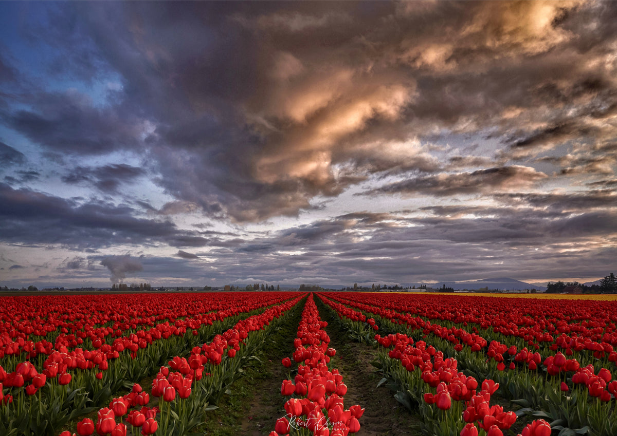 Best PNW Spring – Robert LaSelle Chism Photowerx